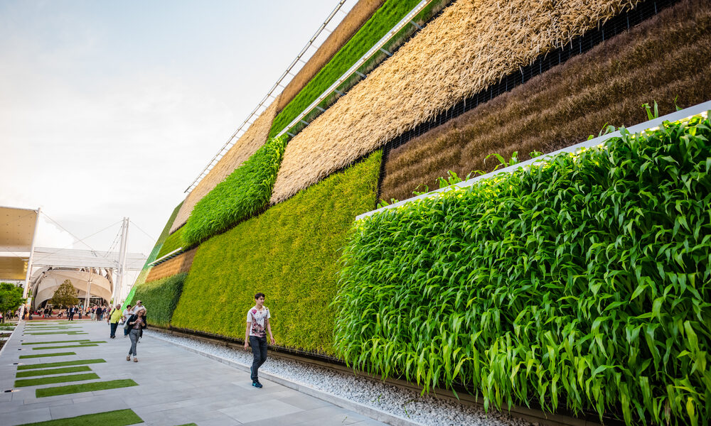 Green Building Insider - Safe, Eco-Friendly Construction News